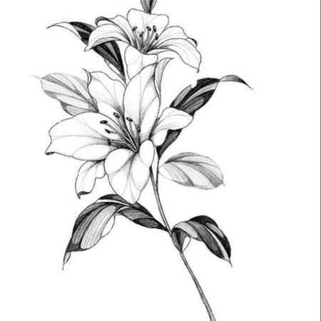 Liliom Tetoválás férfiaknak és nőknek: tetkó minta és jelentésük - VeAn ...