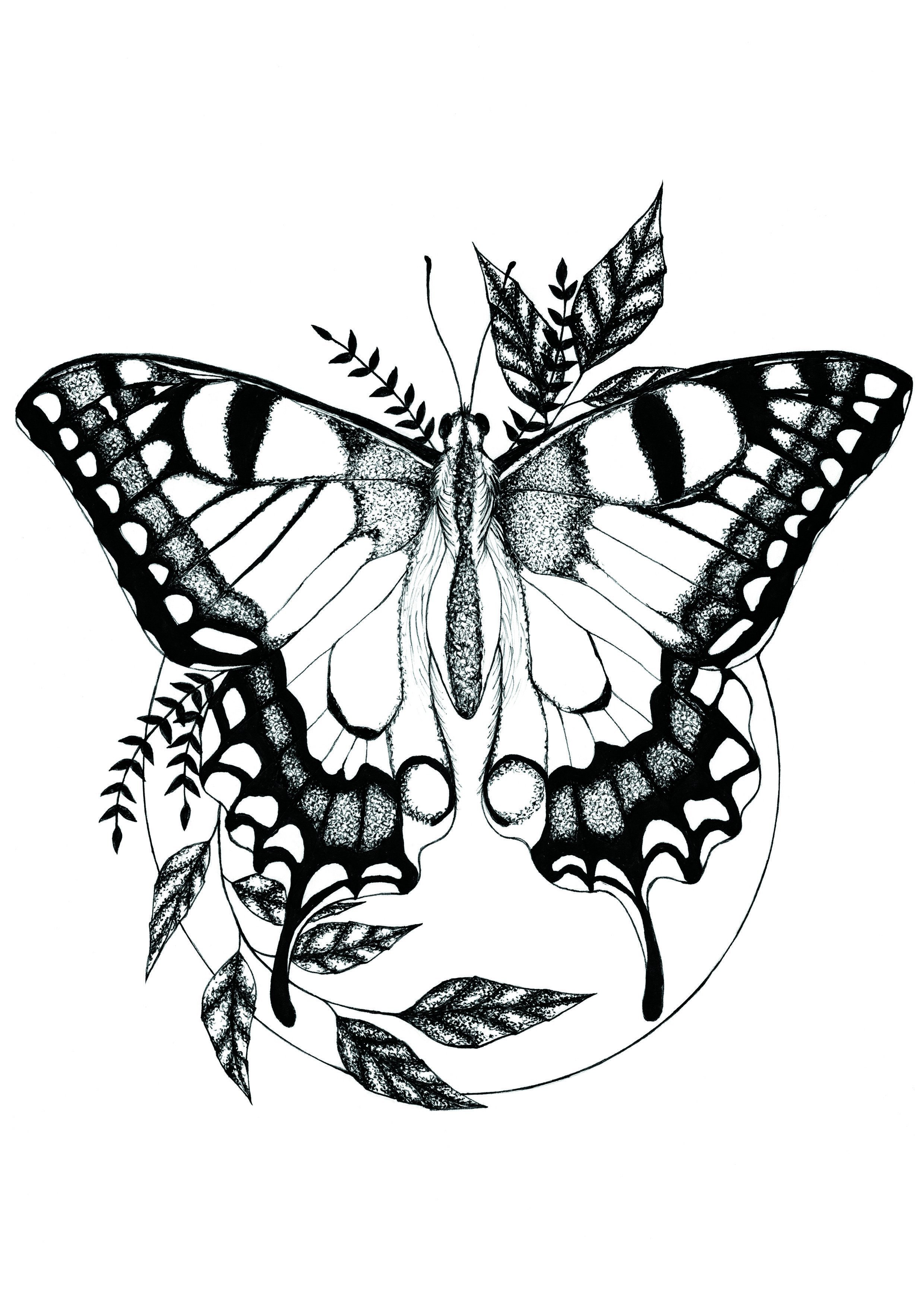 Pillangó tetoválási vázlatok - VeAn Hungarian