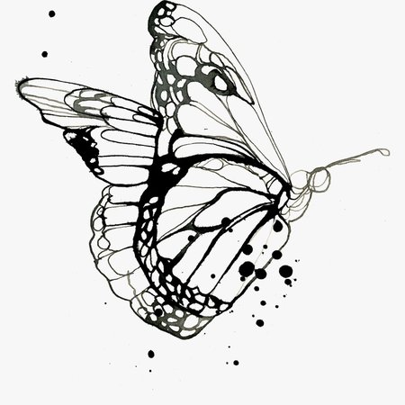 Pillangó tetoválási vázlatok - VeAn Hungarian