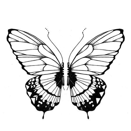 Pillangó tetoválási vázlatok - VeAn Hungarian