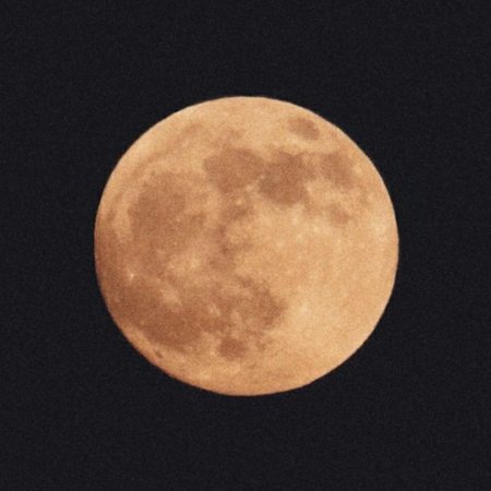 Hold Tetoválás férfiaknak és nőknek: tetkó minta és jelentésük - VeAn ...