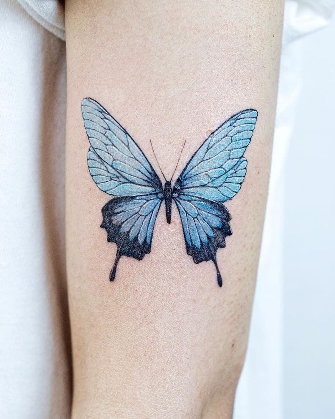 Pillangó tetoválási vázlatok - VeAn Hungarian