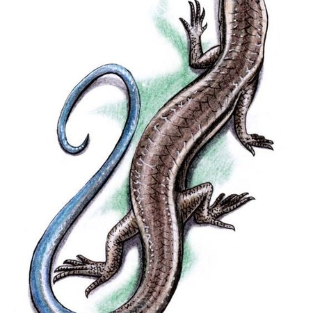 Gyík tetoválási vázlatok - VeAn Hungarian