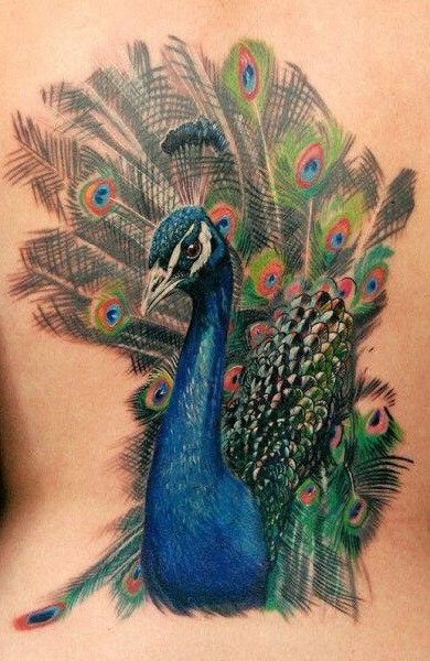 Madarak tetoválási - VeAn Hungarian