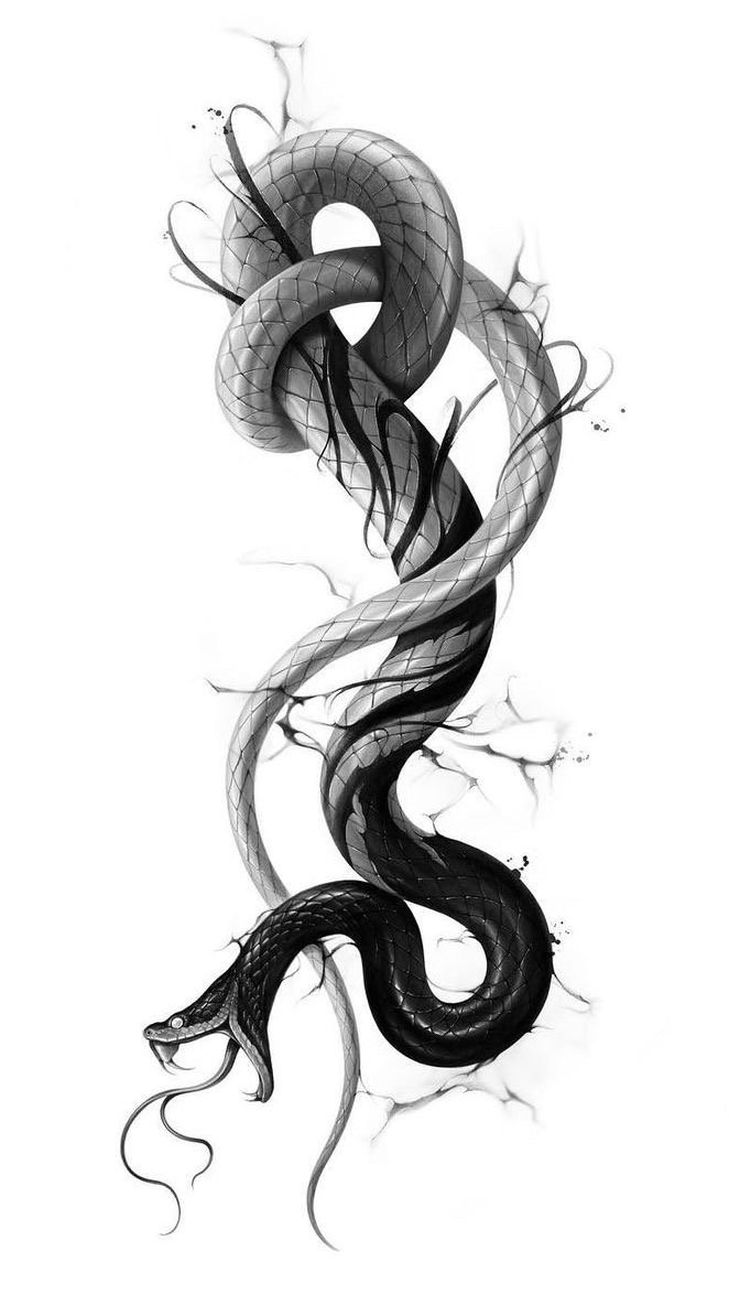 Kígyó Tetoválás férfiaknak és nőknek: tetkó minta és jelentésük - VeAn ...