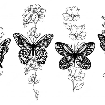 Pillangó tetoválási vázlatok - VeAn Hungarian